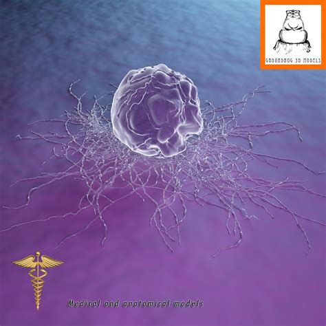 Stem Cell Microscopic Shader 3d Model 25 Fbx Obj Max Free3d
