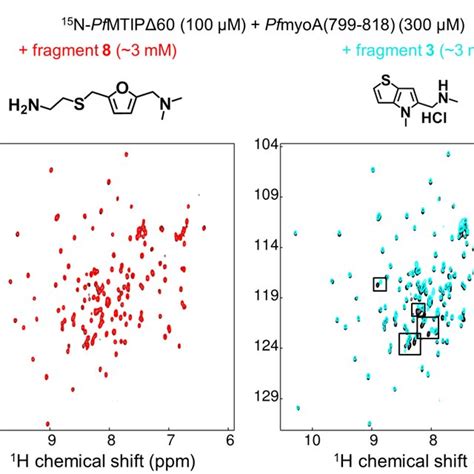 Figure S2 Fragment Hit Binding To A Preformed Mtip Myoa Complex
