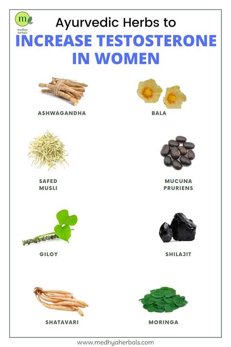 Low Estrogen Herbs At Sammy Parra Blog