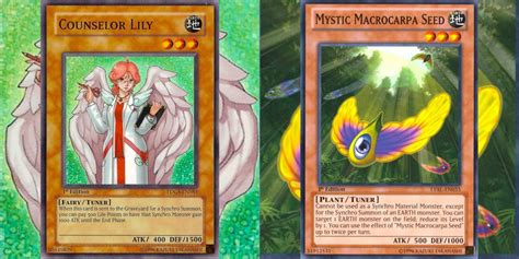 Best Earth Attribute Support Cards In Yu Gi Oh