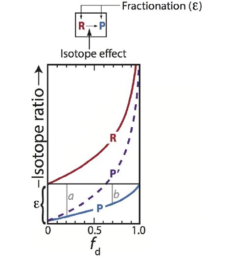 rayleigh plot of the evolution of the isotopic composition of a
