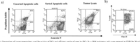 Figure 1 From Comparative Analysis Of Necrotic And Apoptotic Tumor