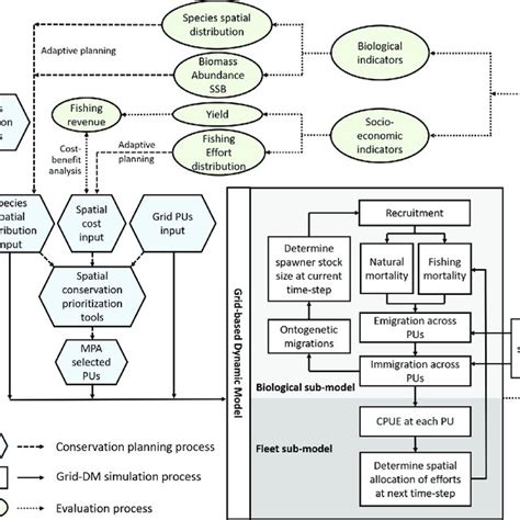 Conceptual Framework Of Grid Based Dynamic Model Grid Dm For