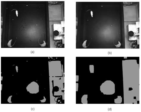 a robust real time detecting and tracking framework for multiple kinds