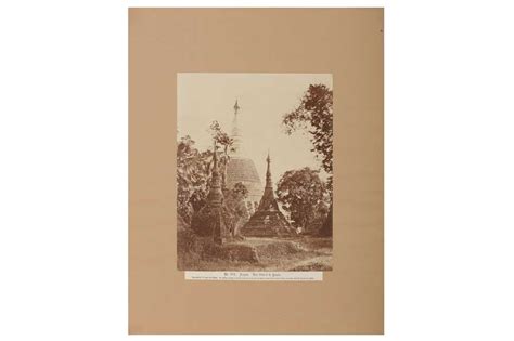 Lot 415 Linnaeus Tripe 1822 1902
