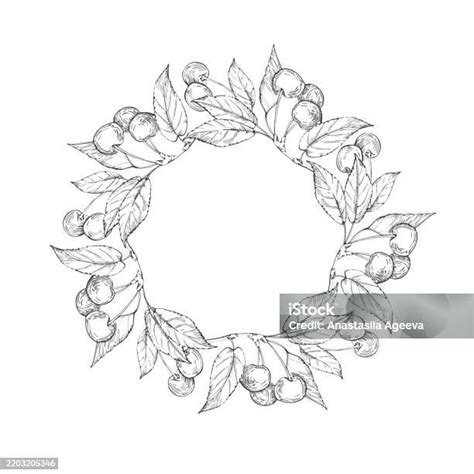 체리 벡터 흑인과 백인 화 환 손으로 잉크로 그린 벽지 잎이 있는 둥근 프레임 흰색 배경에 체리 열매 라벨 디자인을 위한 템플릿 0명에 대한 스톡 벡터 아트 및 기타 이미지