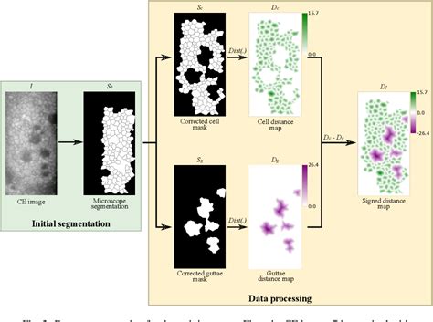 Corneal Endothelium Assessment In Specular Microscopy Images With Fuchs Dystrophy Via Deep