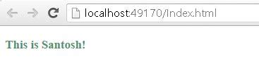 Setup DotLess CSS In ASP NET MVC Project