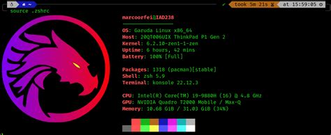 fastfetch with z shell oh my zsh “logo getcharacterpixeldimensions