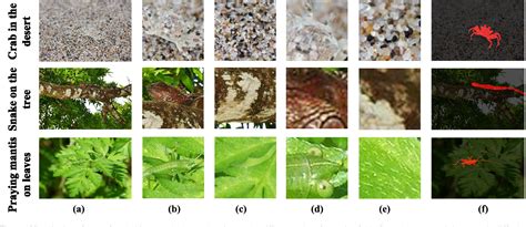 Figure 1 From Camouflaged Object Segmentation Based On Matchingrecognitionrefinement Network