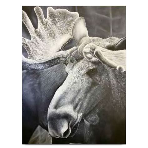 Tread Lightly Art Center Gallery