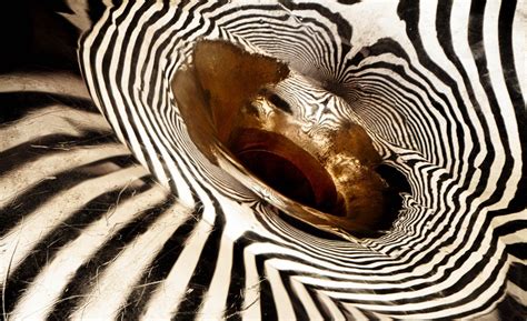 Charles Brooks Captures Vaulted Spaces Inside Musical Instruments