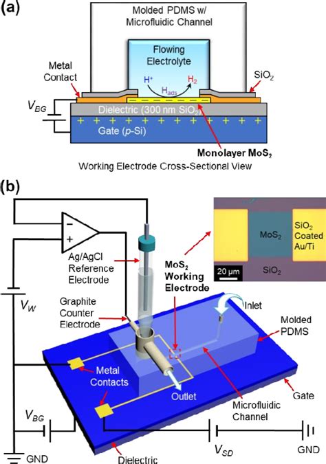 Figure 1 From Field Effect Modulation Of Electrocatalytic Hydrogen Evolution At Back Gated Two
