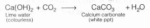 CBSE Class Science Lab Manual Types Of Reactions A Plus Topper
