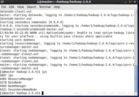 linux下的hadoop配置 sbin start all sh datanode守护进程启动失败 解决方案 为什么切进sbin中无法