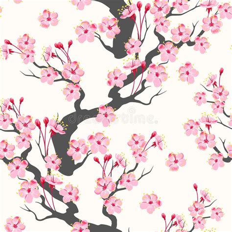 Vector Seamless Pattern With Pink Sakura Branch Stock Vector Illustration Of Summer White