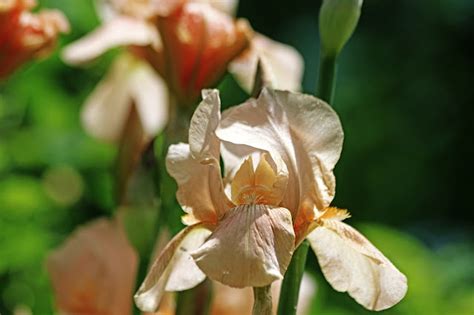 Room Without Walls Pushing The Pause Button On Spring