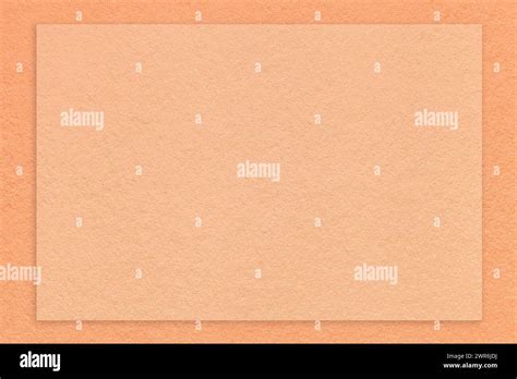 Color Of Year 2024 Texture Of Craft Peach Fuzz Color Paper Background
