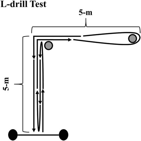 Schematic Presentation Of The Zig Zag Test Circles Represent The Download Scientific Diagram