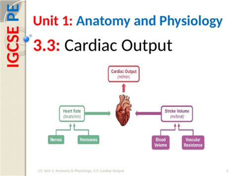 Igcse Pe Spec 2018 Circulatory System Bundle 3 1 2 3 Teaching Resources