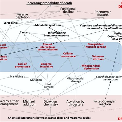 Survival Plots Constructed According To The Gompertz Makeham Law The