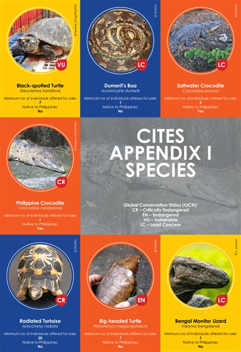 Cites Appendix I Listed Species Offered For Sale In 90 Philippine