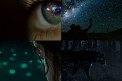 Lg Oled Advertising Campaign Brand Deliver