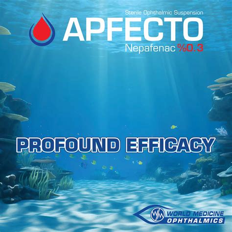 Polypoidal Choroidal Vasculopathy Pcv Retinara