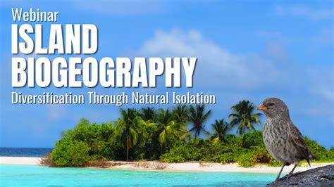 Island Biogeography Diversification Through Natural Isolation Learn Adventurously