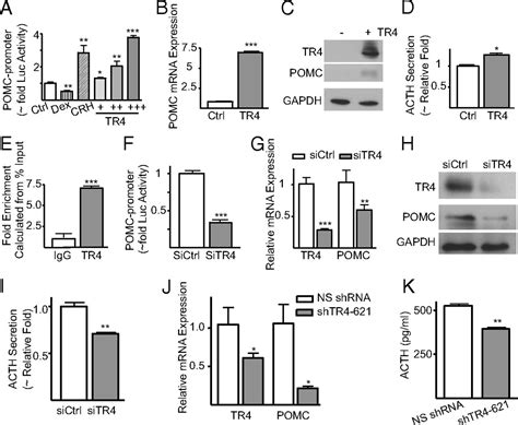 Evidence For Orphan Nuclear Receptor TR4 In The Etiology Of Cushing Disease PNAS