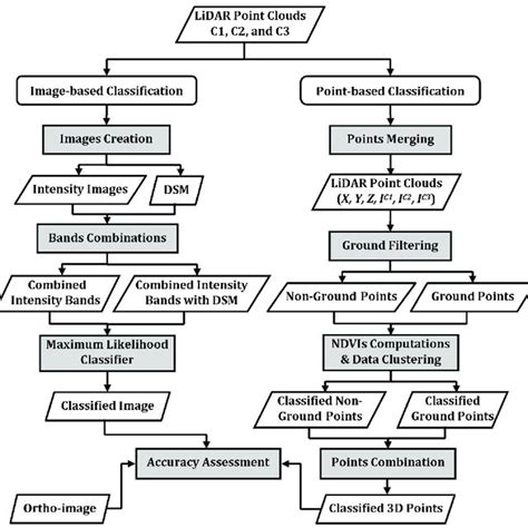Classification Workflow Download Scientific Diagram