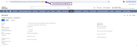 Streamlining Your Netsuite Transaction Csv Imports The Power Of Account External Ids Introduction