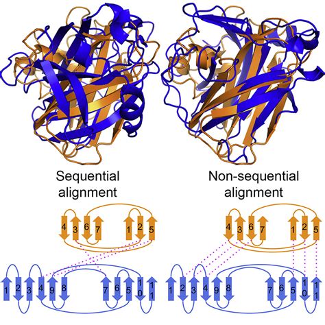A Unified Approach To Sequential And Non Sequential Structure Alignment
