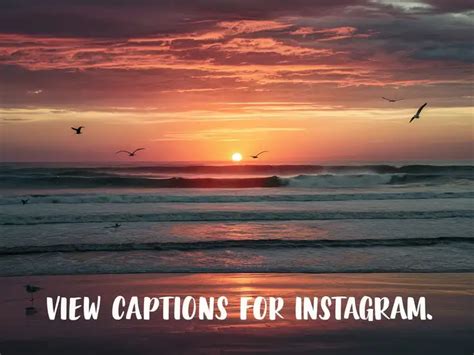 200 View Captions For Instagram