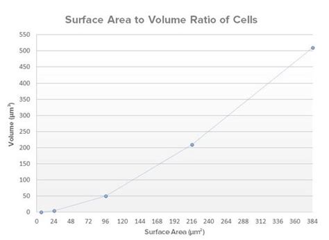 Lab Post Quiz Flashcards Quizlet