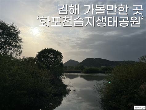 김해 가볼만한 곳 화포천습지생태공원 네이버 블로그
