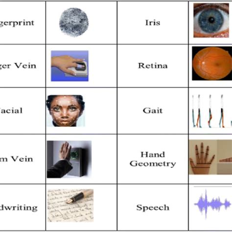 Universal Framework Of Biometric System Download Scientific Diagram