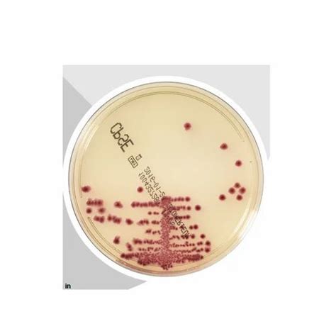 Biomerieux Chromid Cps Elite At Best Price In Delhi By Biomerieux Id 19352319497