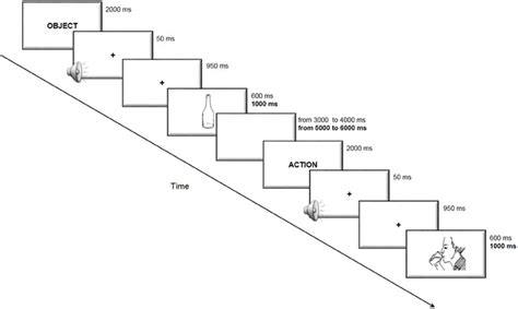 Trial Structure Of The Picture Naming Task The Subjects Were Presented