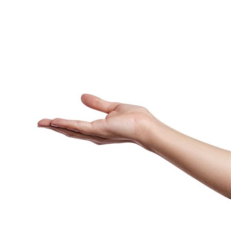 Open Hand Reaching Out 50091584 Png