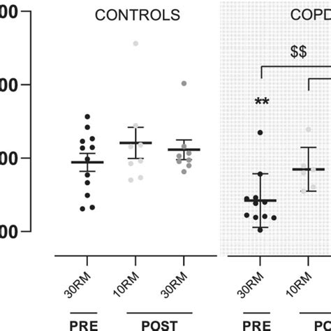 Citrate Synthase Cs Activity Prior To Pre And Following 10rm And