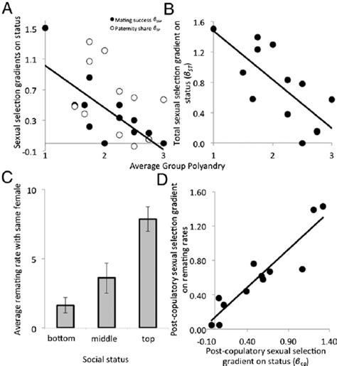 Sexual Selection On Male Social Status A Gradients Of Pre β Sm Download Scientific