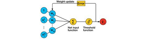 perceptron learning rule download scientific diagram