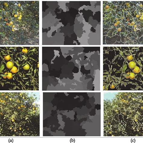 A Original Images B Color Quantization Map Of Classes C Download Scientific Diagram