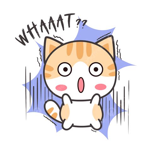 Kitten Cute And Shocked Expression Pattern Be Amazed Cat Cute Png