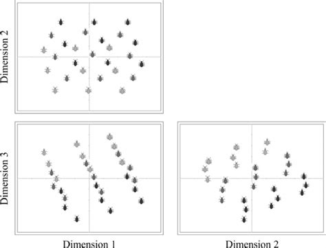 A Three Dimensional Bug Solution Derived From Three Hypothetical