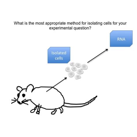 Changes Thatll Make A Big Difference With Your RNA Seq Part Cofactor Genomics