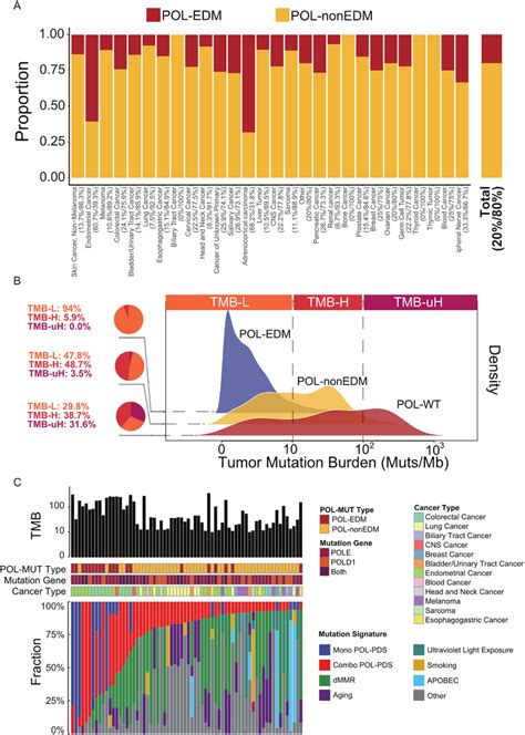 Prevalence And Predicted Functional Impact Of Pol‐edm And Pol‐non‐edm