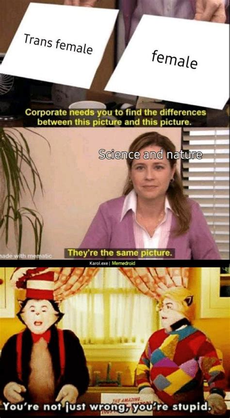 The Best Trans Memes Memedroid