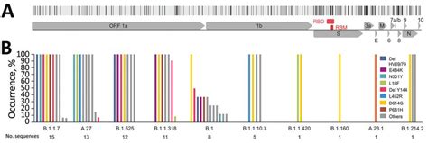 Mutations Associated With Sars Cov 2 Variants Of Concern Benin Early 2021
